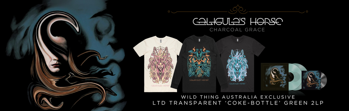 Wild Thing Music Store | Shop Progressive, Alternative, Rock & Metal