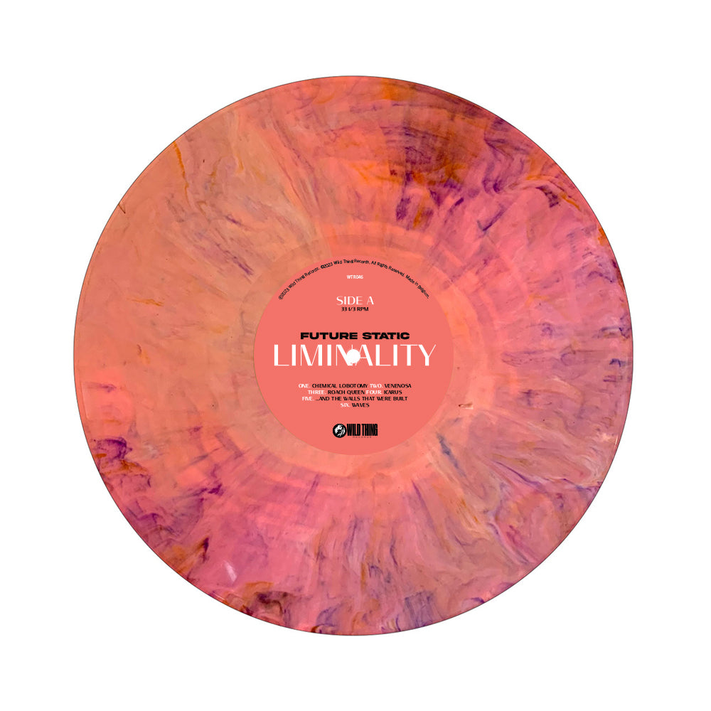 Future Static - Wild Thing Music Store